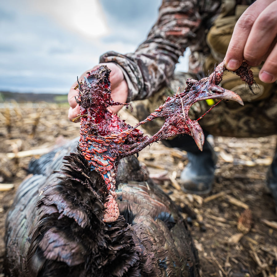 World's Sharpest Mechanical Broadhead | Beast Broadheads